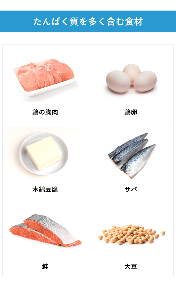 アミノ酸の摂取が骨代謝に影響！破骨細胞とアミノ酸トランスポーター「LAT1」の関係【岐阜薬科大学・檜井教授】 - Wellulu