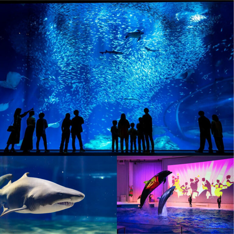 【茨城県】幸福度を「見える化」！県民が日本一幸せな県の実現に向けた新たな試み「いばらき幸福度指標」 - Wellulu