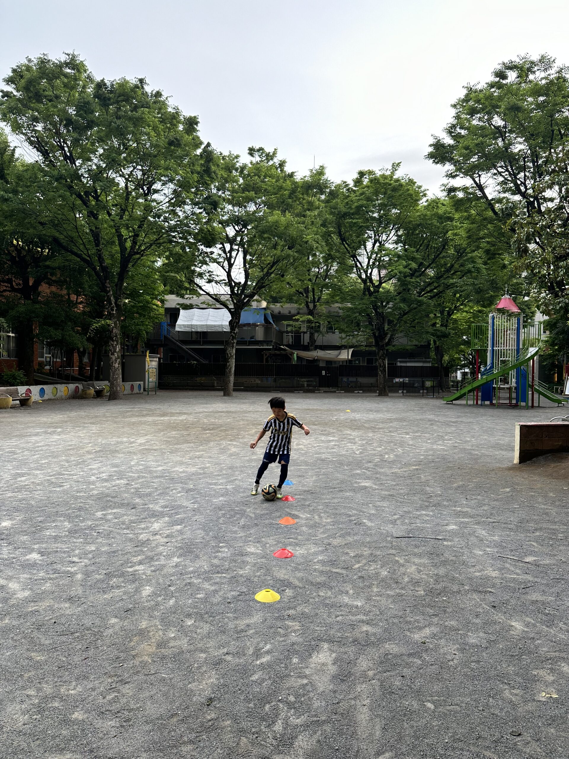 スマホがない生活 - Wellulu