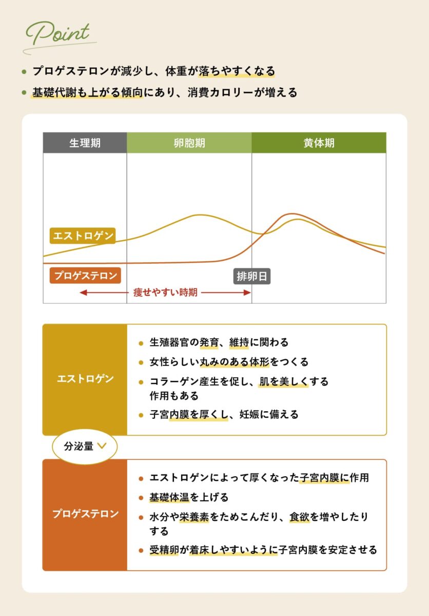 生理中のダイエットは痩せにくい？食事・運動のコツ、注意点を紹介 - Wellulu