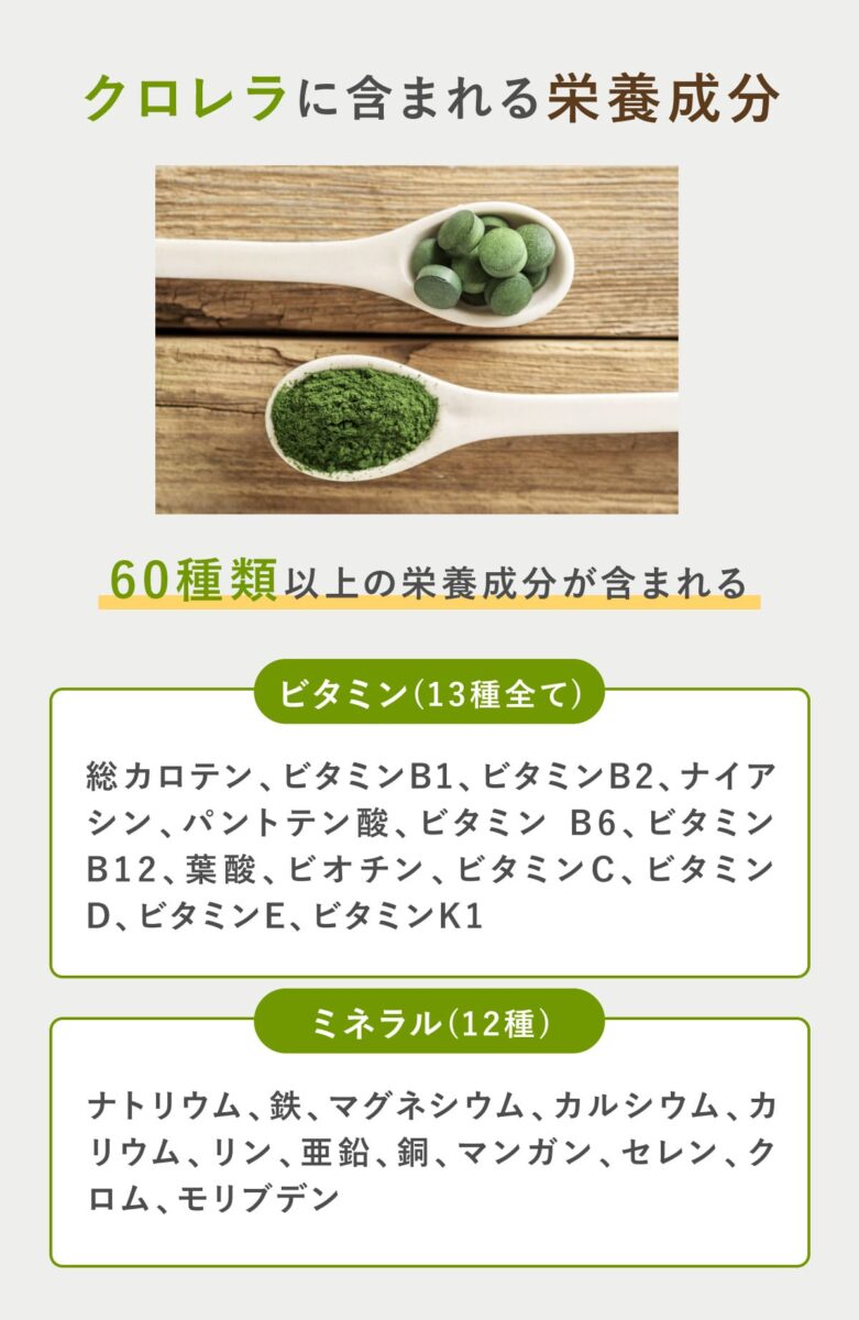 約60%が植物性タンパク質！ビタミン・ミネラルをはじめ豊富な栄養を含むスーパーフード「クロレラ」【クロレラ工業】 - Wellulu