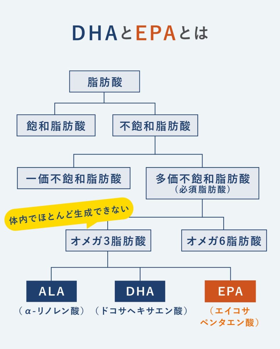 積極的に摂りたい「DHA」と「EPA」。身体に大きな影響を与える重要な成分だった！【不二製油】 - Wellulu