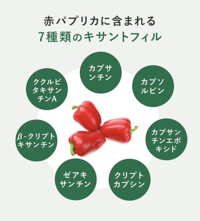 赤パプリカの抗酸化パワーで酸化ストレスに負けない身体を作る！【グリコ栄養食品】 - Wellulu