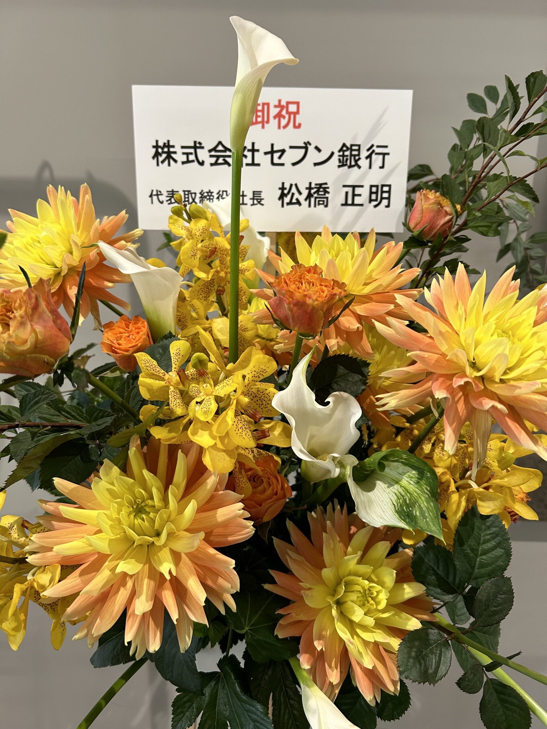 株式会社ECOTONE 創設 - Wellulu