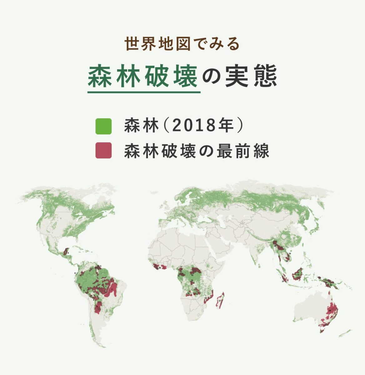 森林破壊の原因とは？森林破壊の現状と影響、森林保護の対策も紹介 - Wellulu