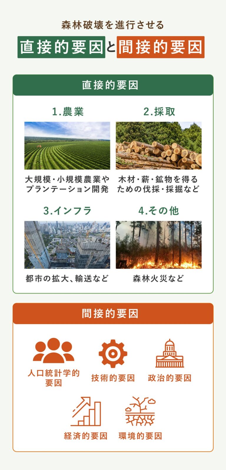 森林破壊の原因とは？森林破壊の現状と影響、森林保護の対策も紹介 - Wellulu