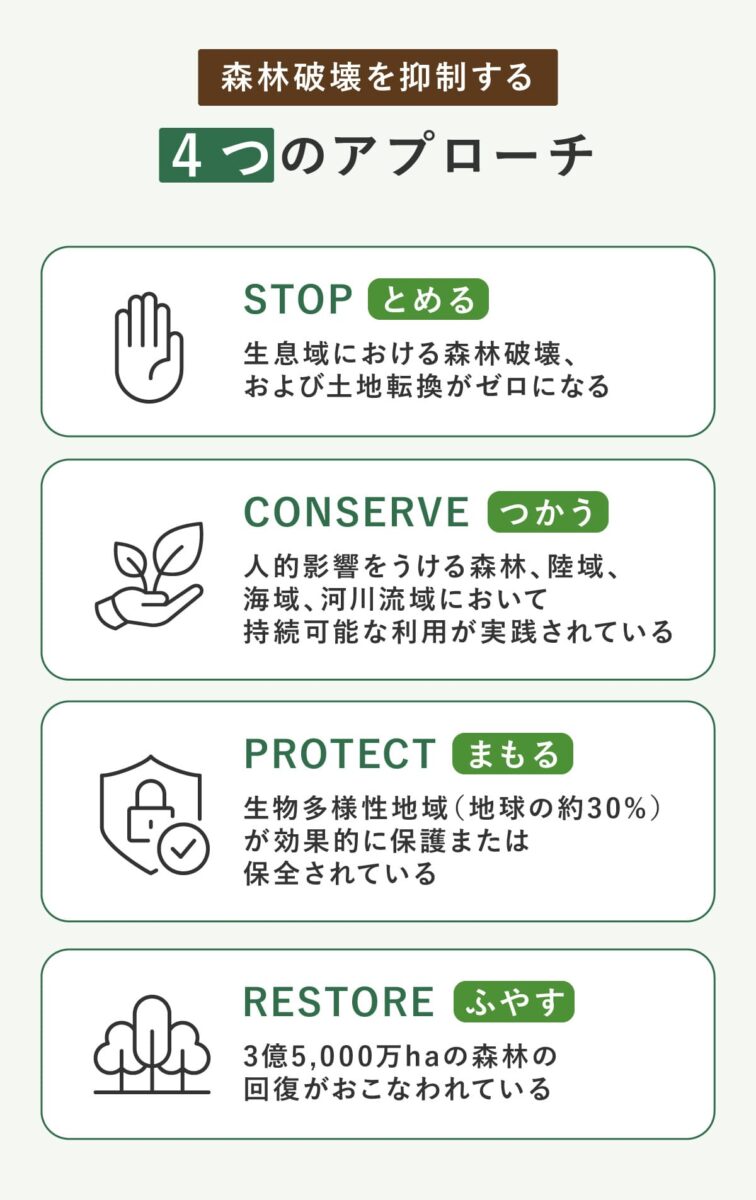 森林破壊の原因とは？森林破壊の現状と影響、森林保護の対策も紹介 - Wellulu