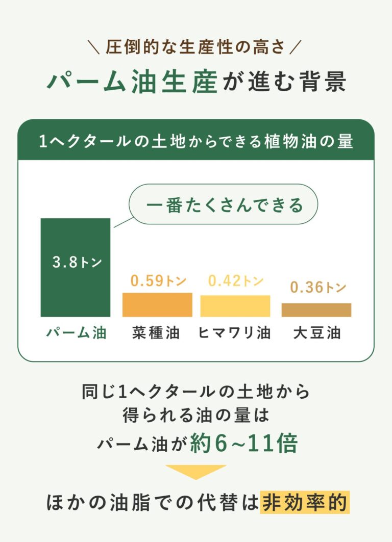 森林破壊の原因とは？森林破壊の現状と影響、森林保護の対策も紹介 - Wellulu
