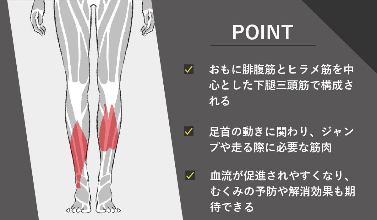 下半身の筋トレメニュー16選！自重・器具・マシンを使ったメニューを紹介 - Wellulu