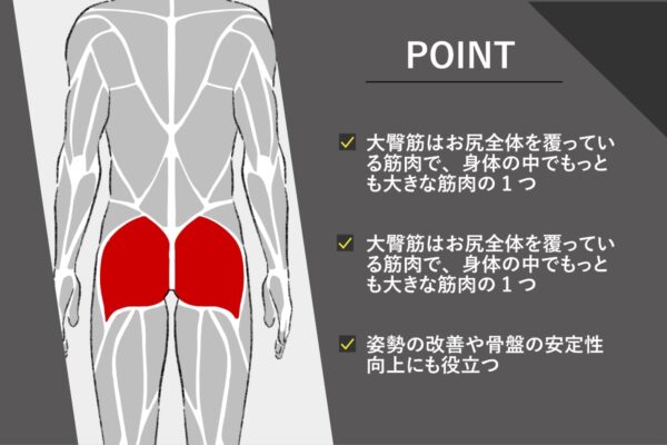 大腿四頭筋を鍛える筋トレ9選！自重・ダンベル・マシンを使ったメニュー・ストレッチ方法 - Wellulu
