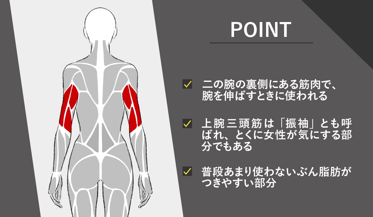 二の腕痩せに効果的な筋トレ・有酸素運動・ストレッチ！食事や生活習慣のコツも紹介 - Wellulu