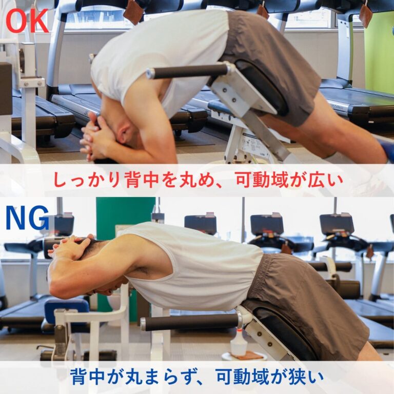 背筋（背中）の筋トレメニュー34選！自宅やジムで鍛える自重・ダンベル・バーベル種目 - Wellulu