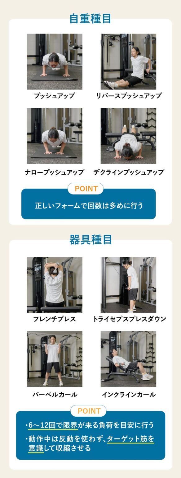 腕を太くする筋トレ方法25選！ダンベル・自重・ジムで鍛える方法 - Wellulu