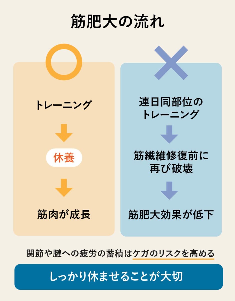 腕を太くする筋トレ方法25選！ダンベル・自重・ジムで鍛える方法 - Wellulu