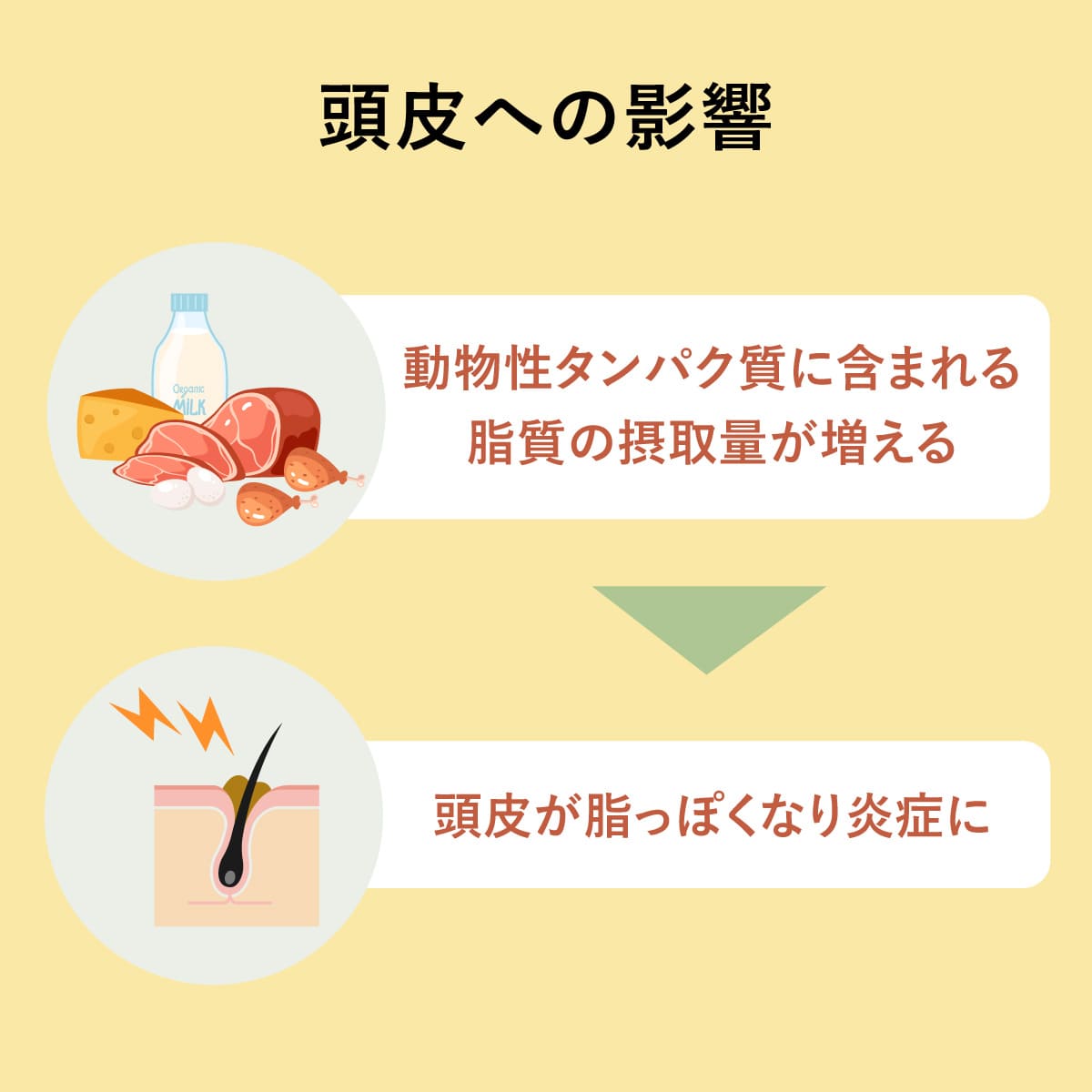 タンパク質を摂りすぎってどれくらい？摂りすぎのサインや症状・摂取量の目安も紹介 - Wellulu
