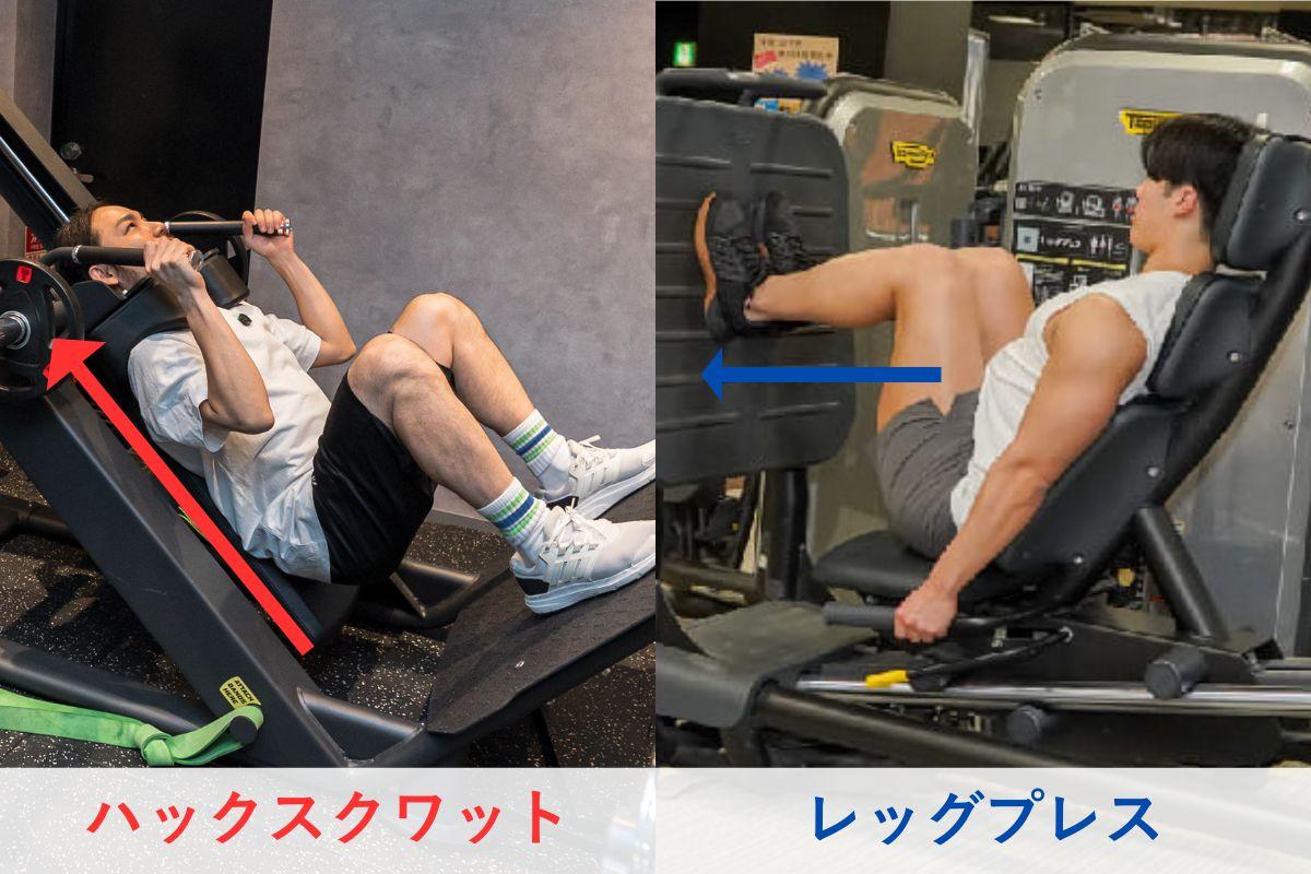 ハックスクワットのやり方！マシンの使い方や適性重量、足の位置による効果の違い - Wellulu